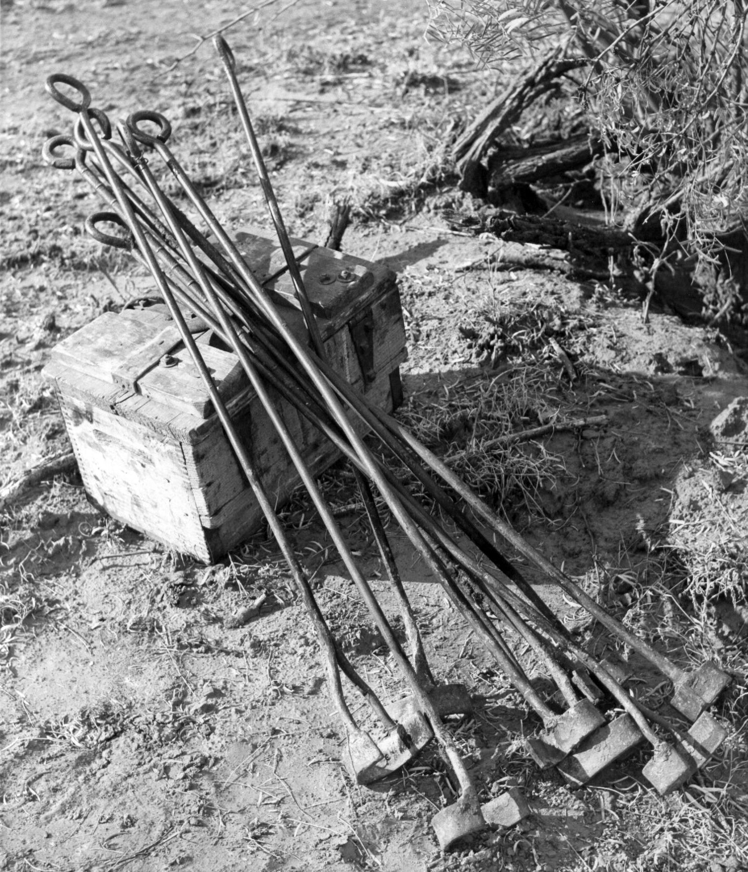 Four Sixes Brands - 6666 Ranch