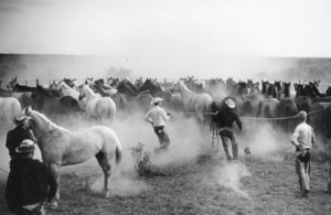 About - 6666 Ranch - The Four Sixes Ranch Story