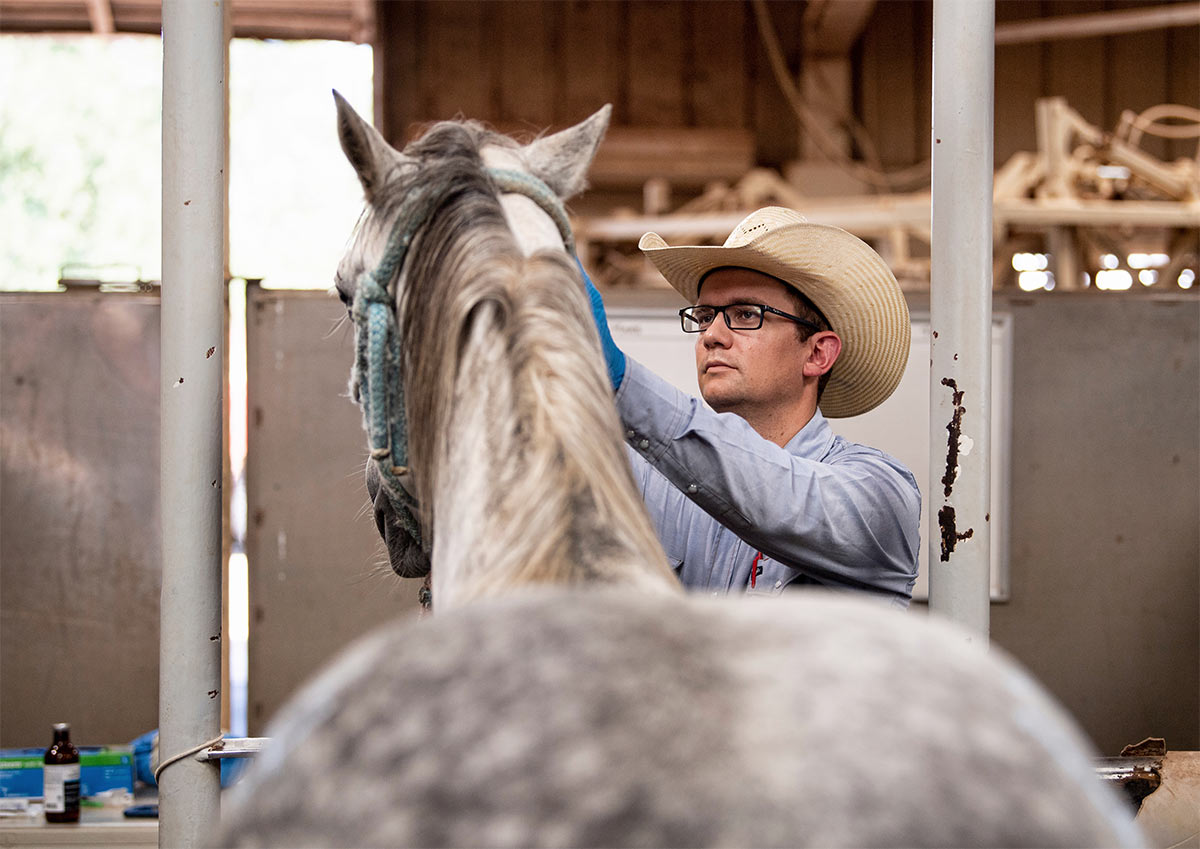 Veterinary Services - 6666 Ranch