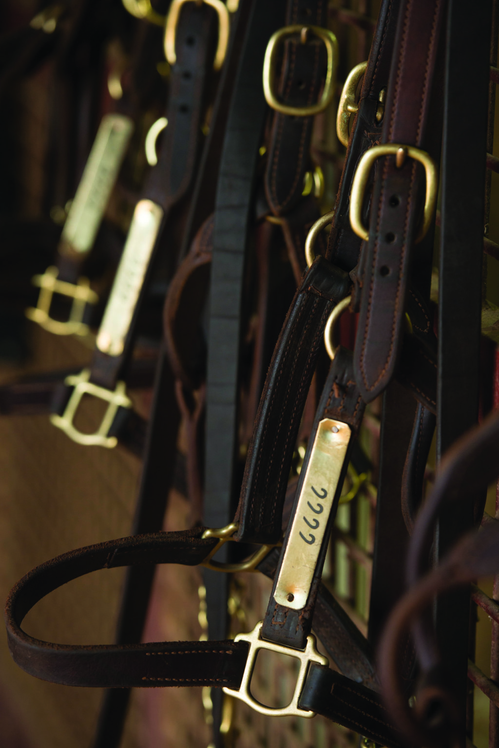 Quarter Horse Sales - 6666 Ranch