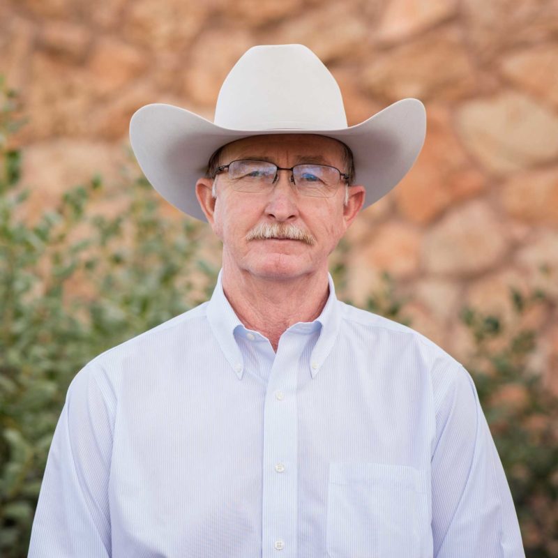 Angus Cattle - 6666 Ranch