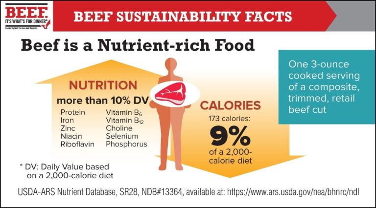 Black Angus Cattle - Nutrition - 6666 Ranch