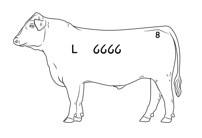 Four Sixes Brands - 6666 Ranch