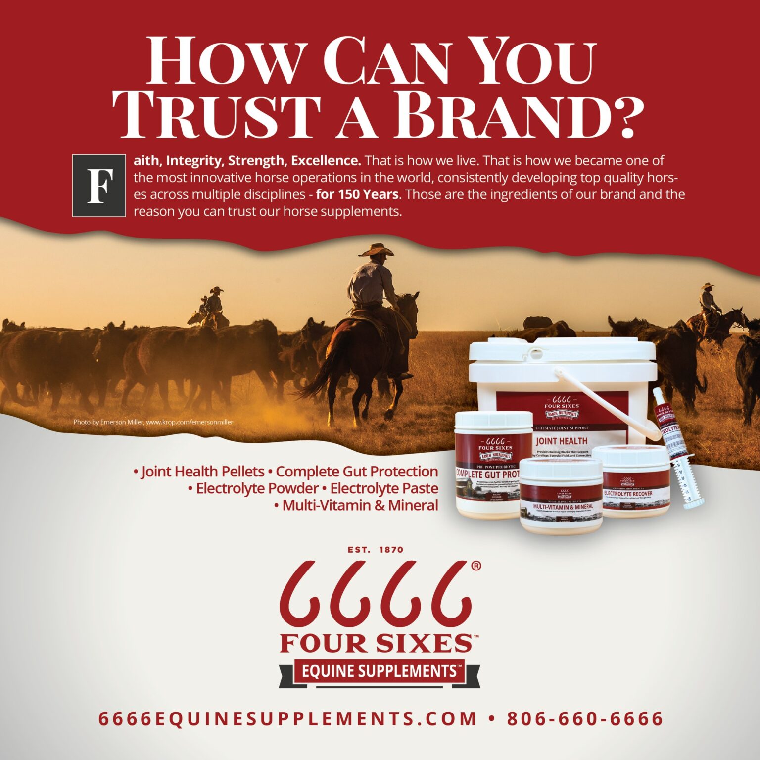 An Interview with Dr. Nathan Canaday, Horse Division Manager, and ...