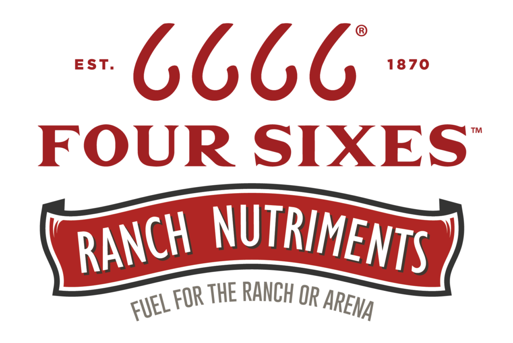 6666 Ranch Horsemanship Clinic - 6666 Ranch