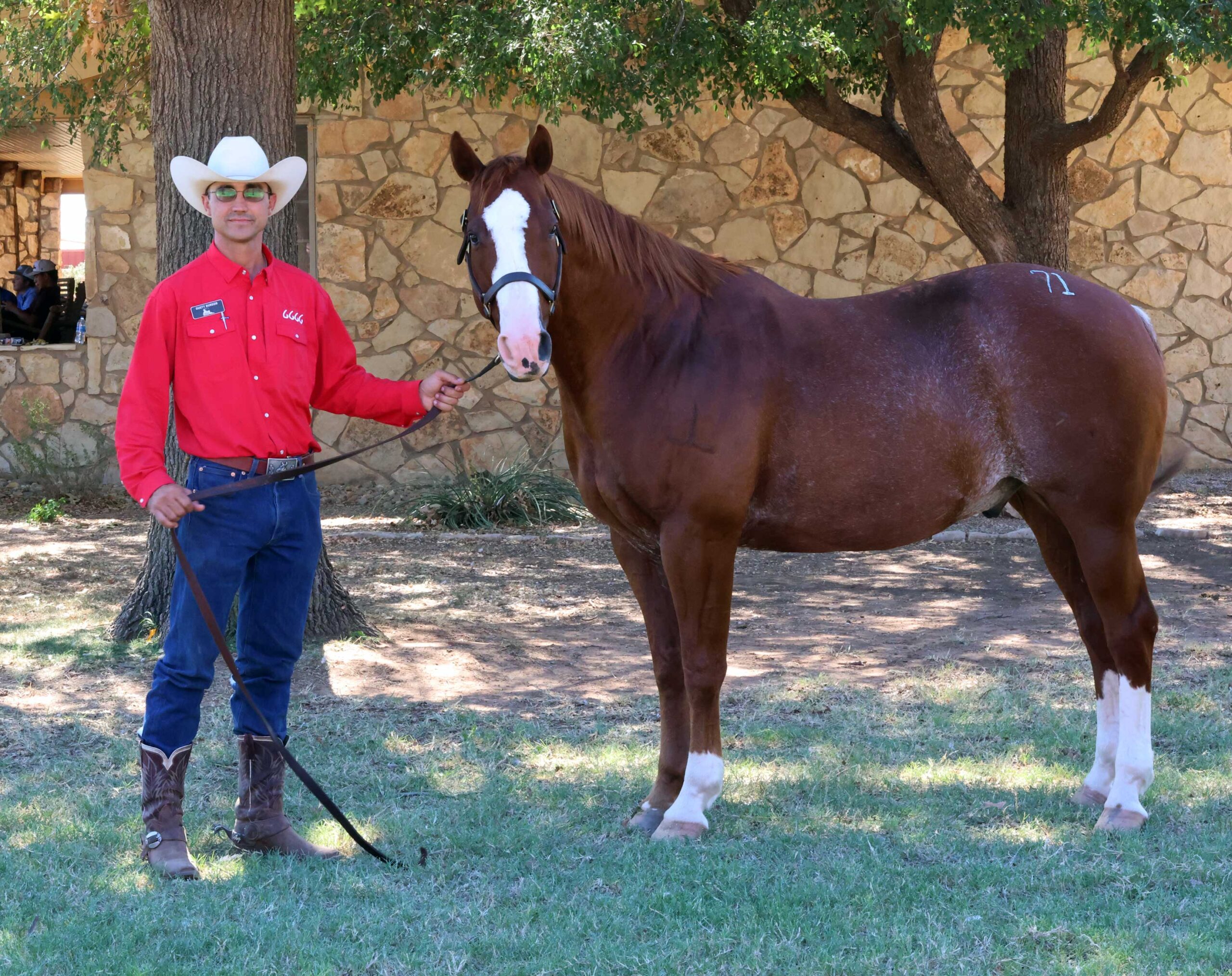2025 Return to the Remuda Sale - 6666 Ranch