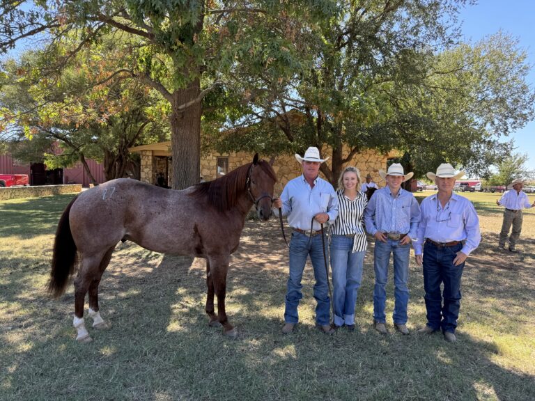 Record-Breaking Success at the 25th Return to the Remuda Sale - 6666 Ranch