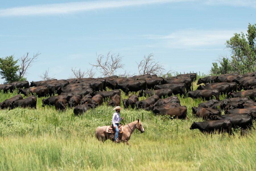 Save The Date: NCHA Foundation Western Heritage Celebration - 6666 Ranch