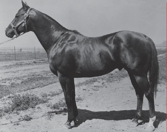 Working Lines: Cee Bars at the Burnett Ranch - 6666 Ranch