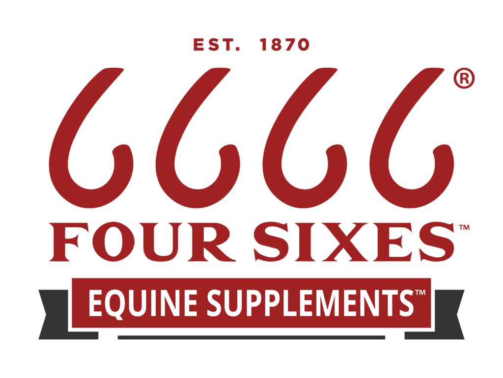 6666 Ranch Horsemanship Clinic - 6666 Ranch