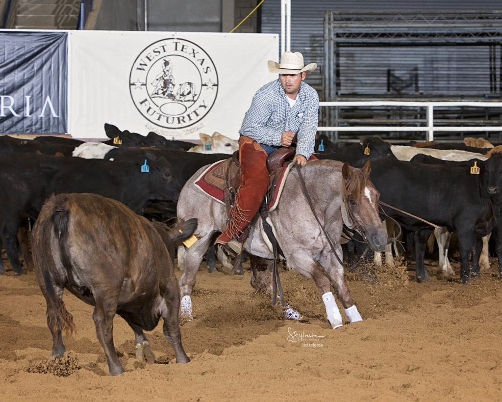 Dandy Cat - 6666 Ranch